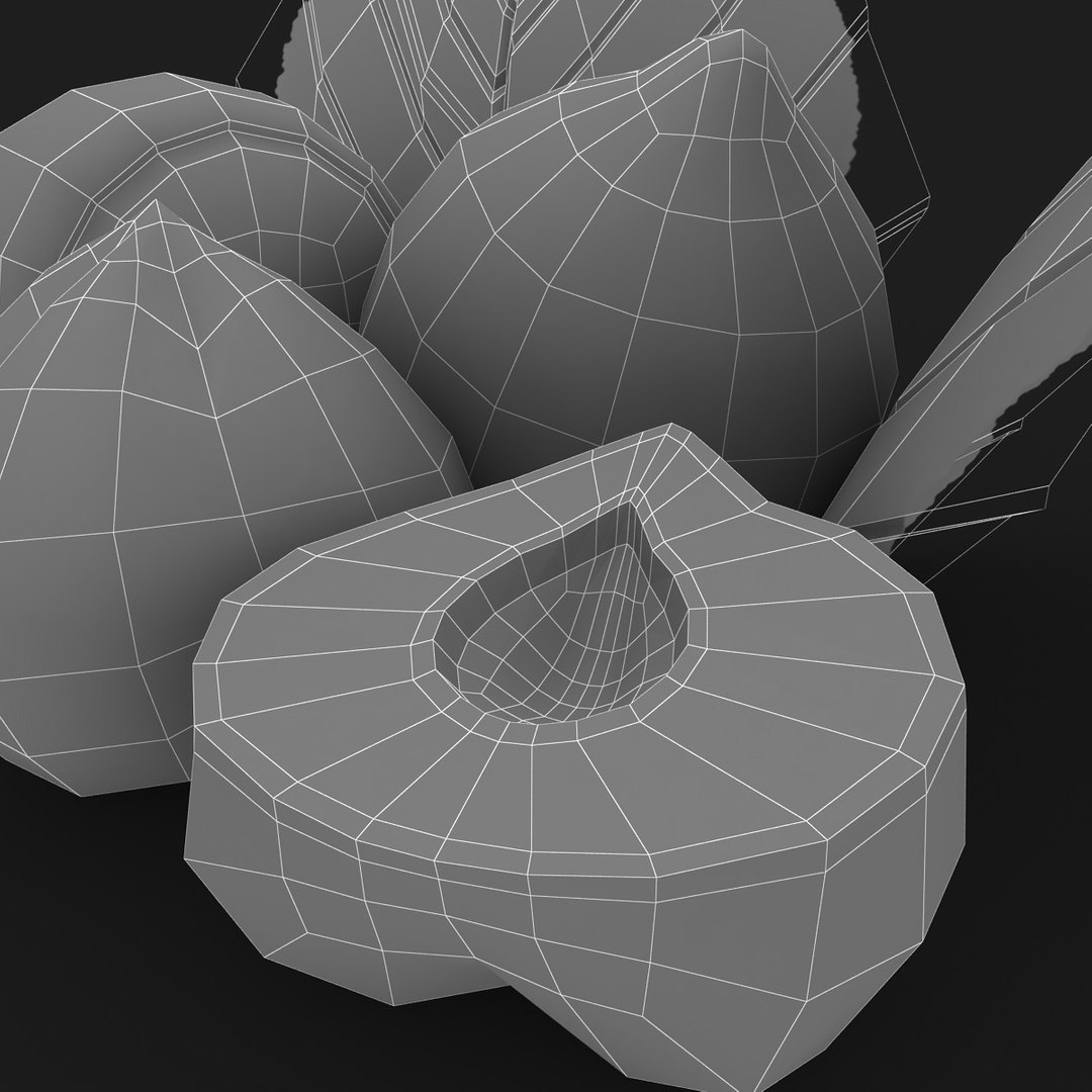 Hazelnut Scanline 3d Model