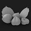 Hazelnut Scanline 3d Model