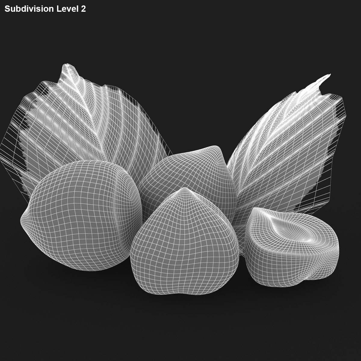 hazelnut scanline 3d model