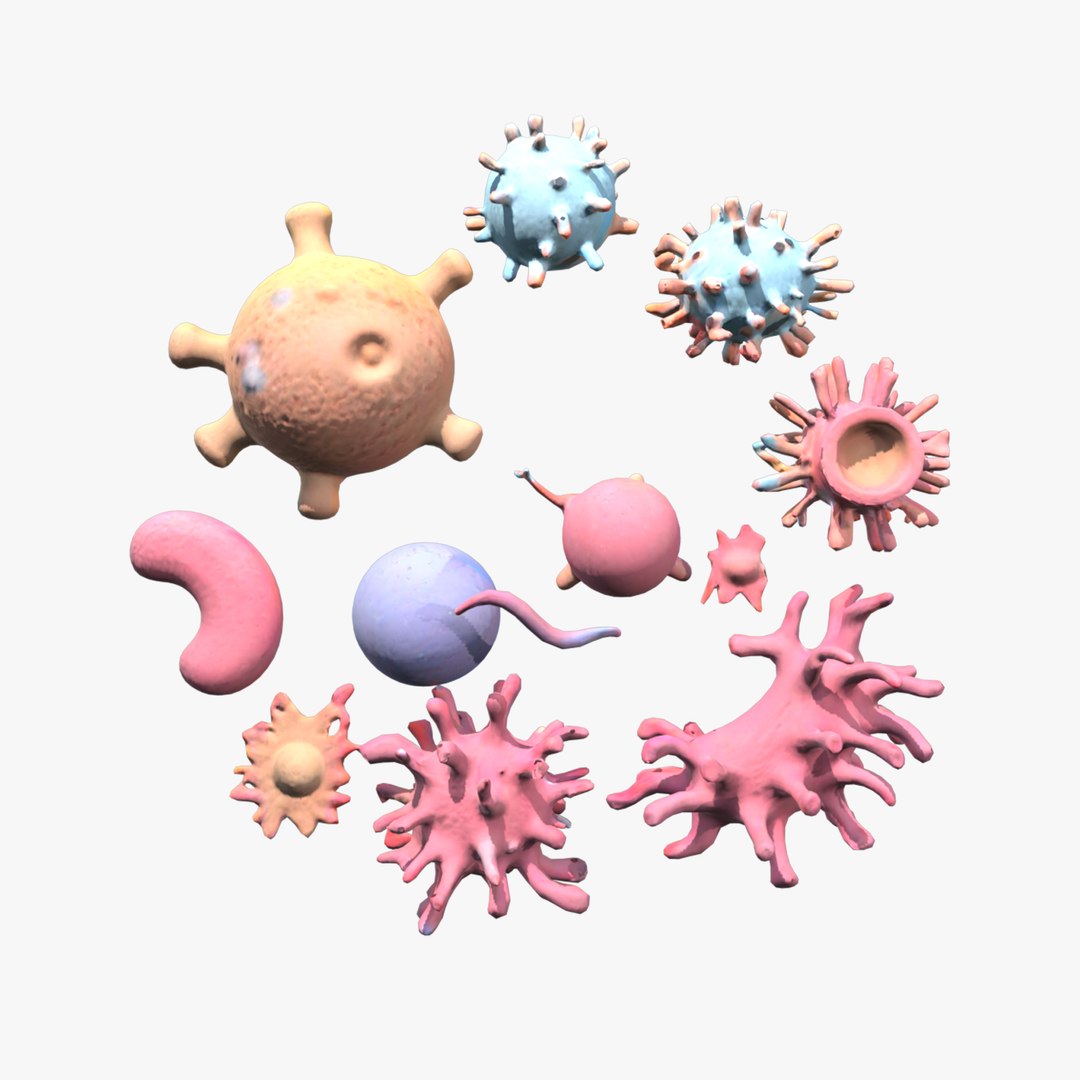 3D Bacteria Collection Model - TurboSquid 2340963
