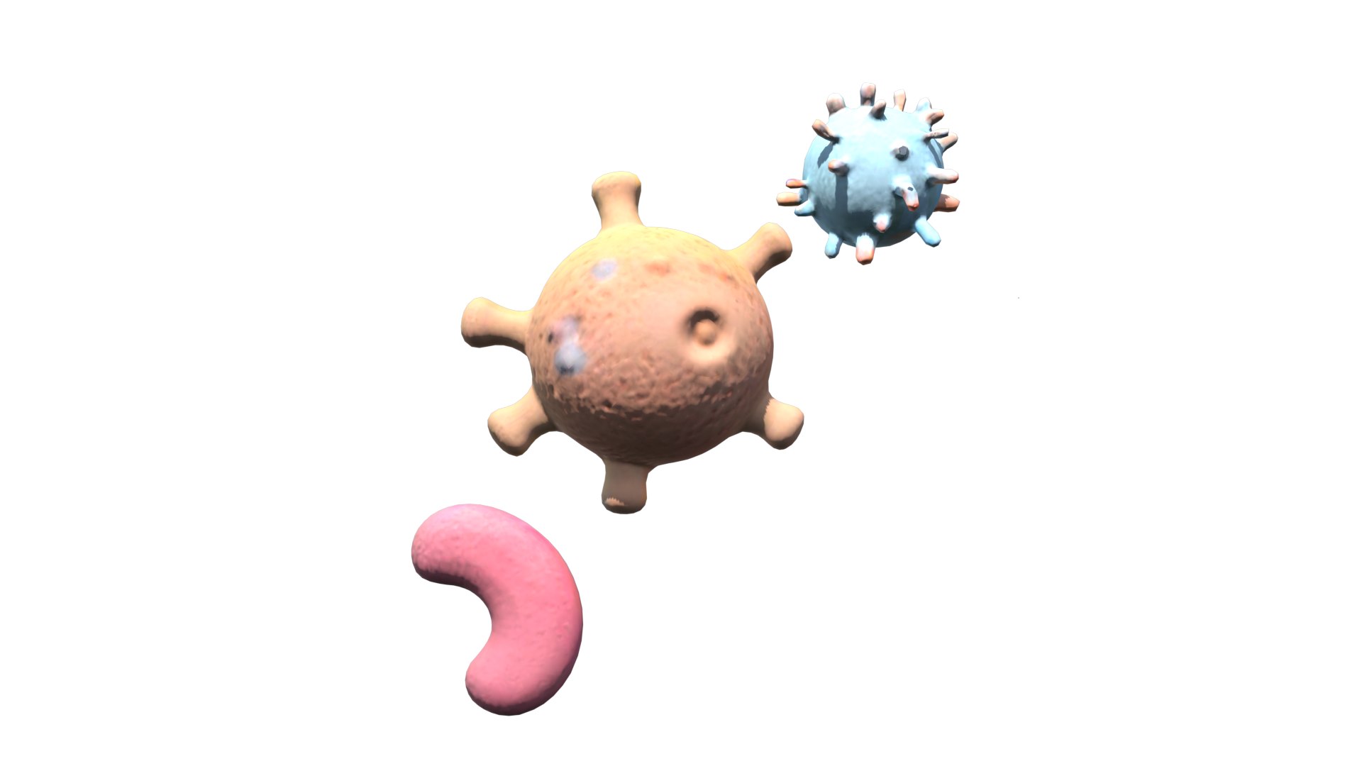 3D Bacteria Collection Model - TurboSquid 2340963