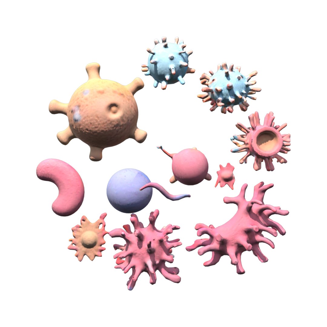 3D Bacteria Collection Model - TurboSquid 2340963