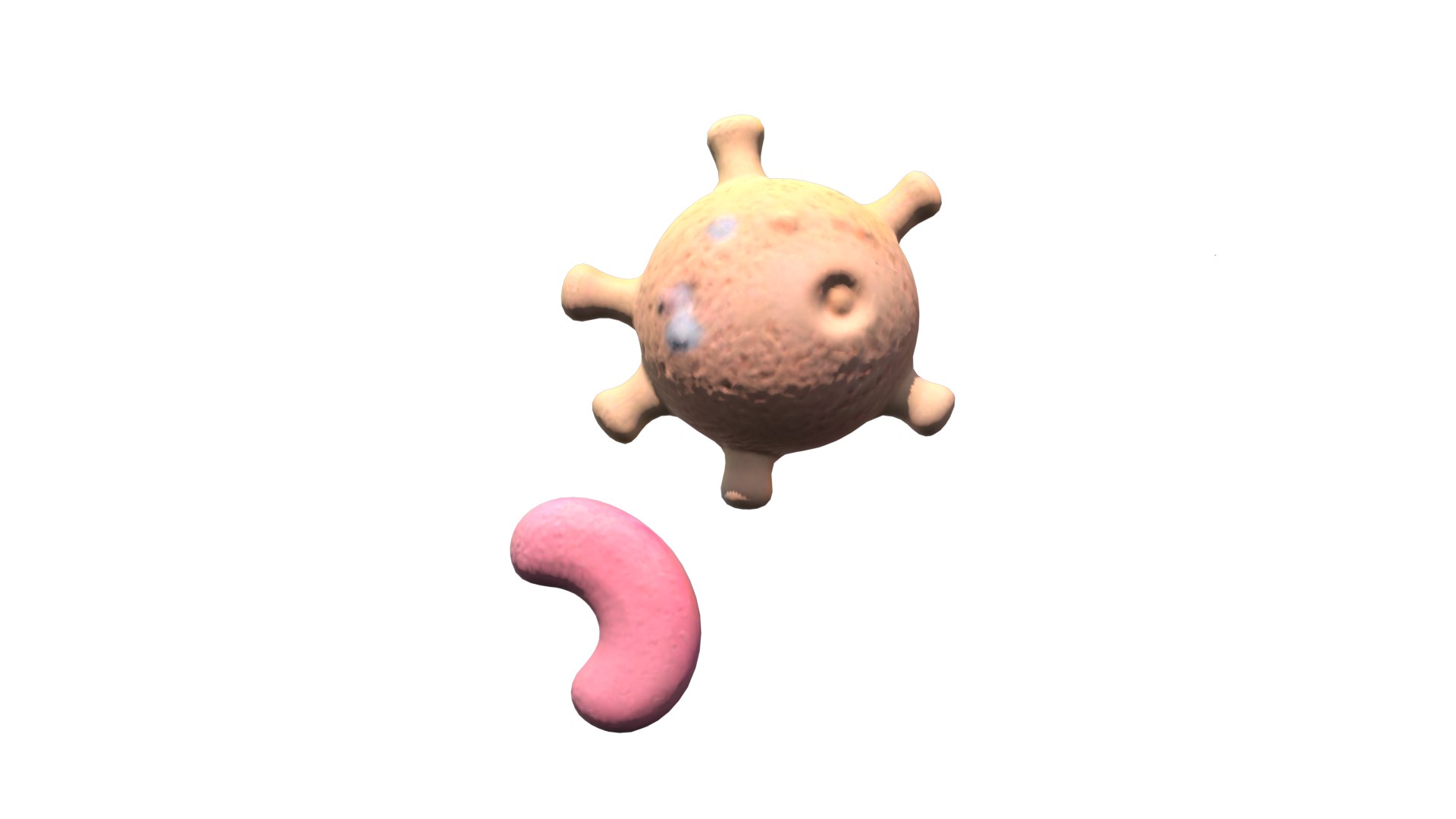 3D Bacteria Collection Model - TurboSquid 2340963