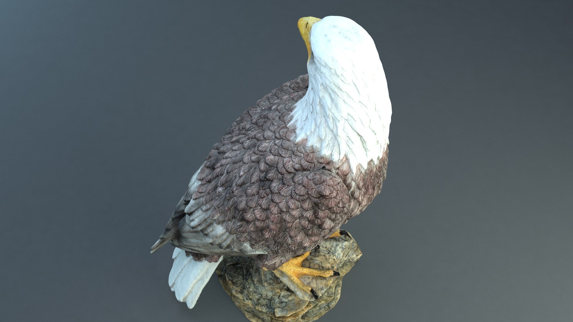 3D Model Eagle - TurboSquid 2089794