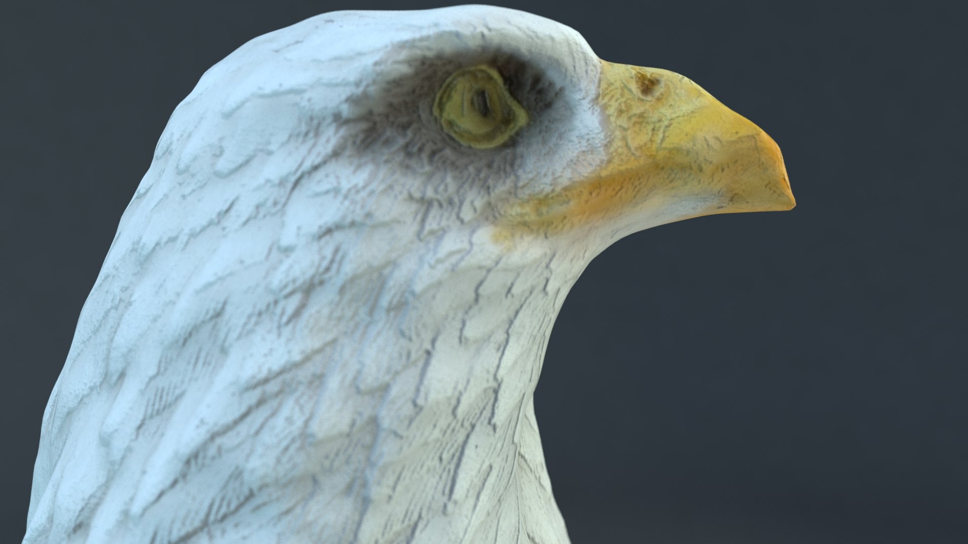 3D Model Eagle - TurboSquid 2089794
