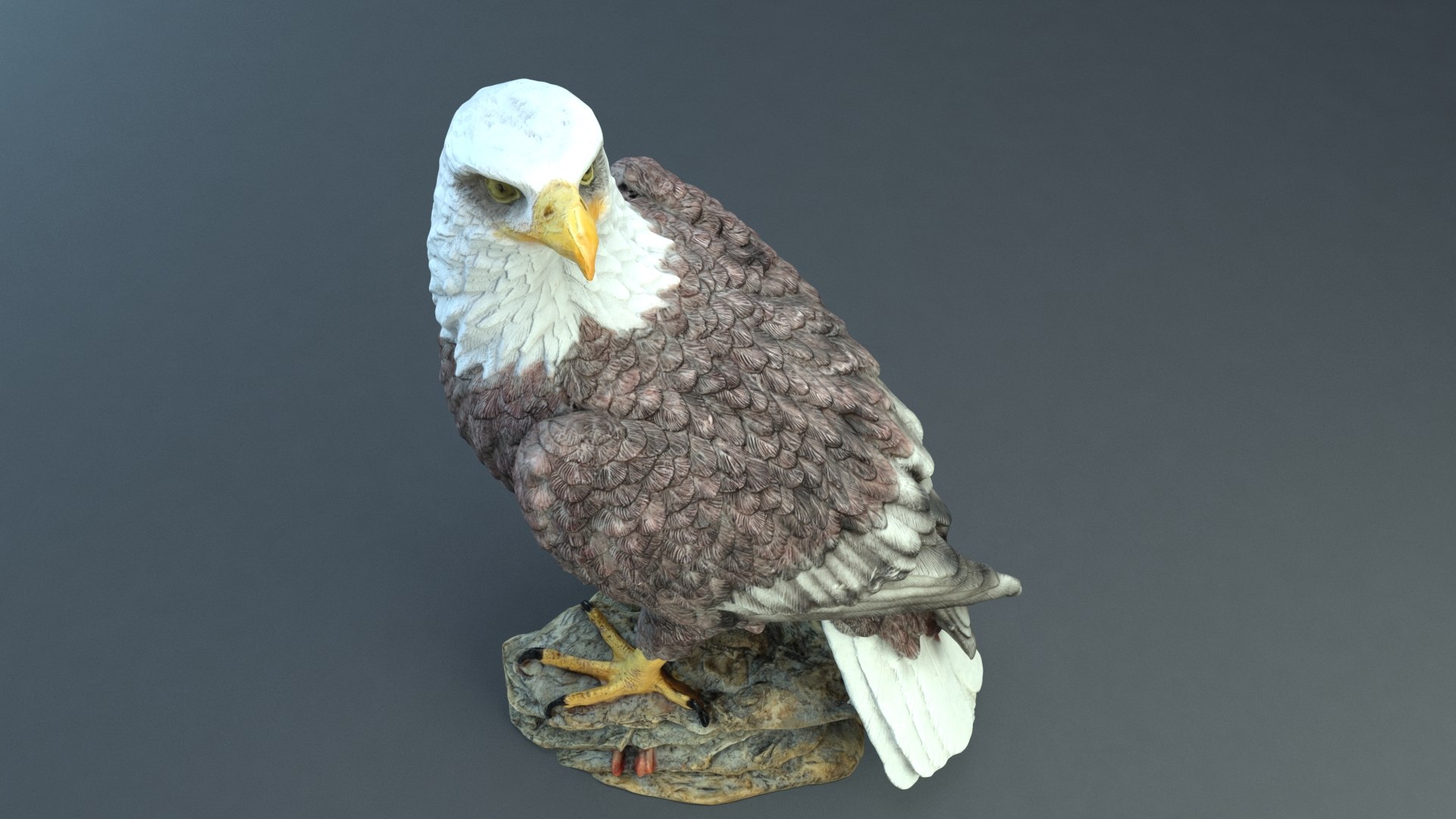 3D Model Eagle - TurboSquid 2089794
