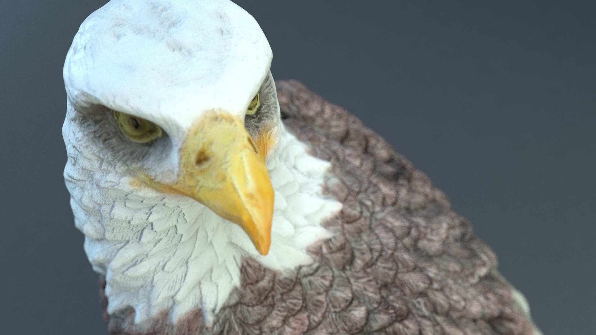 3D Model Eagle - TurboSquid 2089794