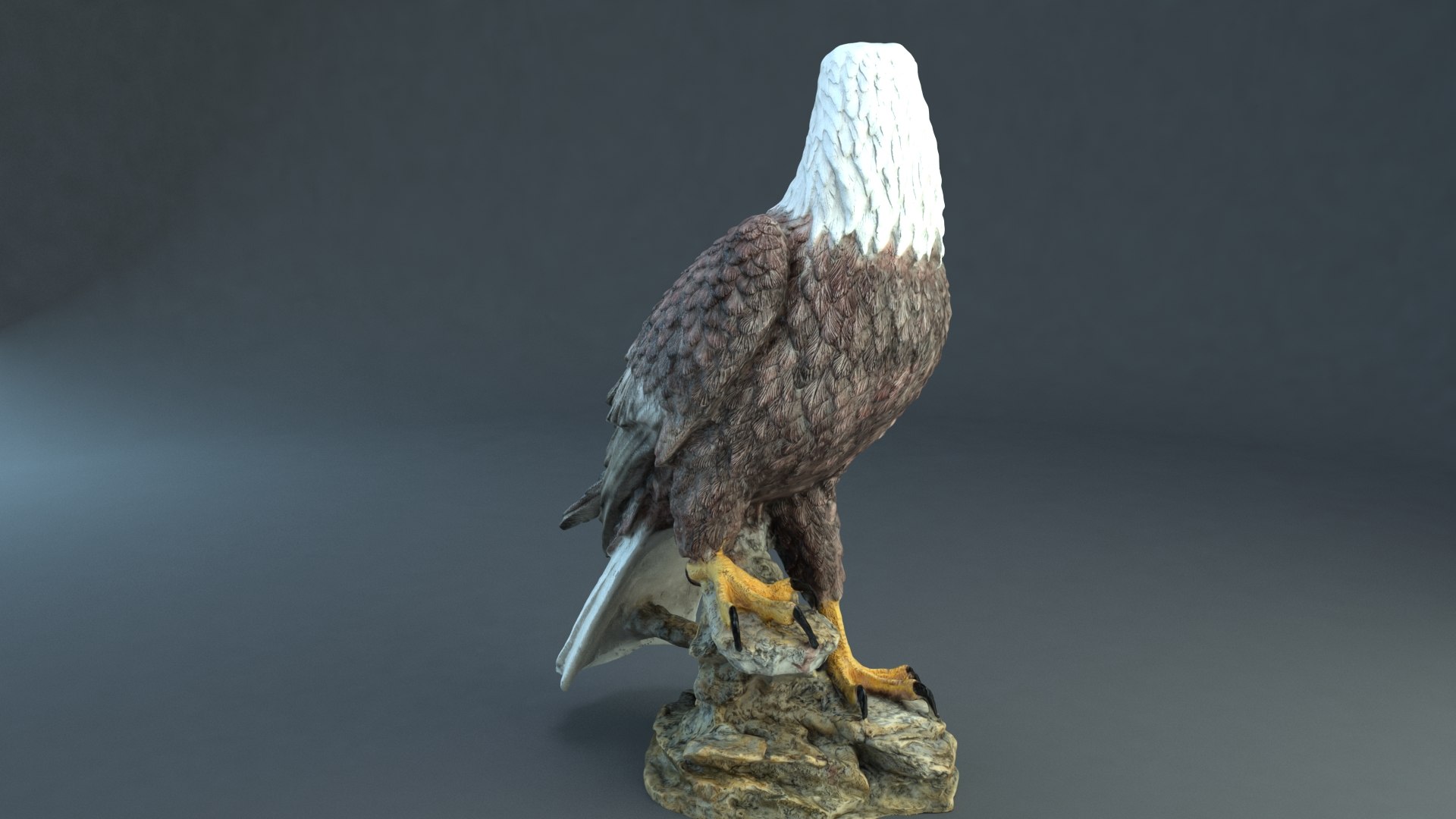 3D Model Eagle - TurboSquid 2089794