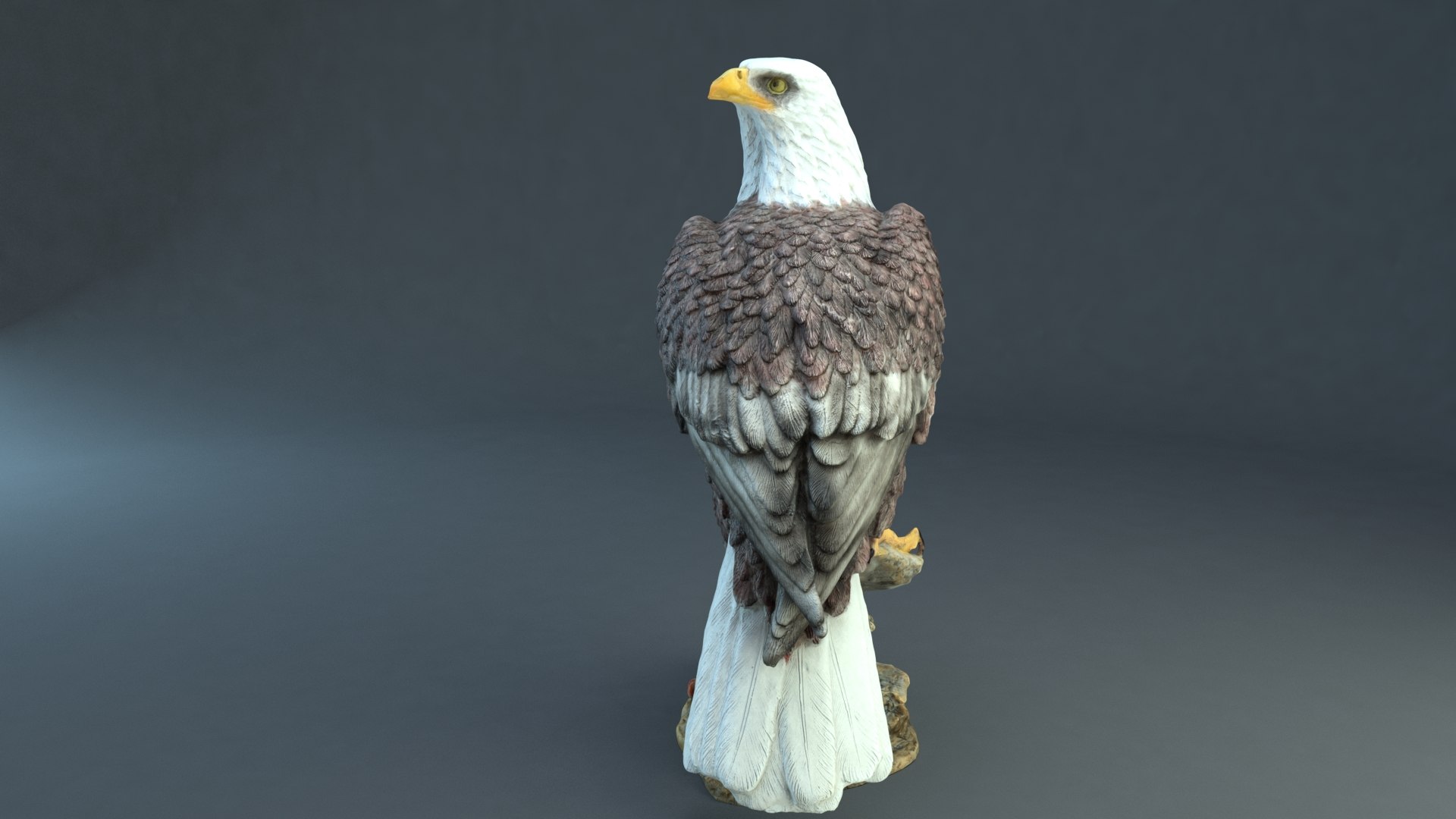 3D Model Eagle - TurboSquid 2089794