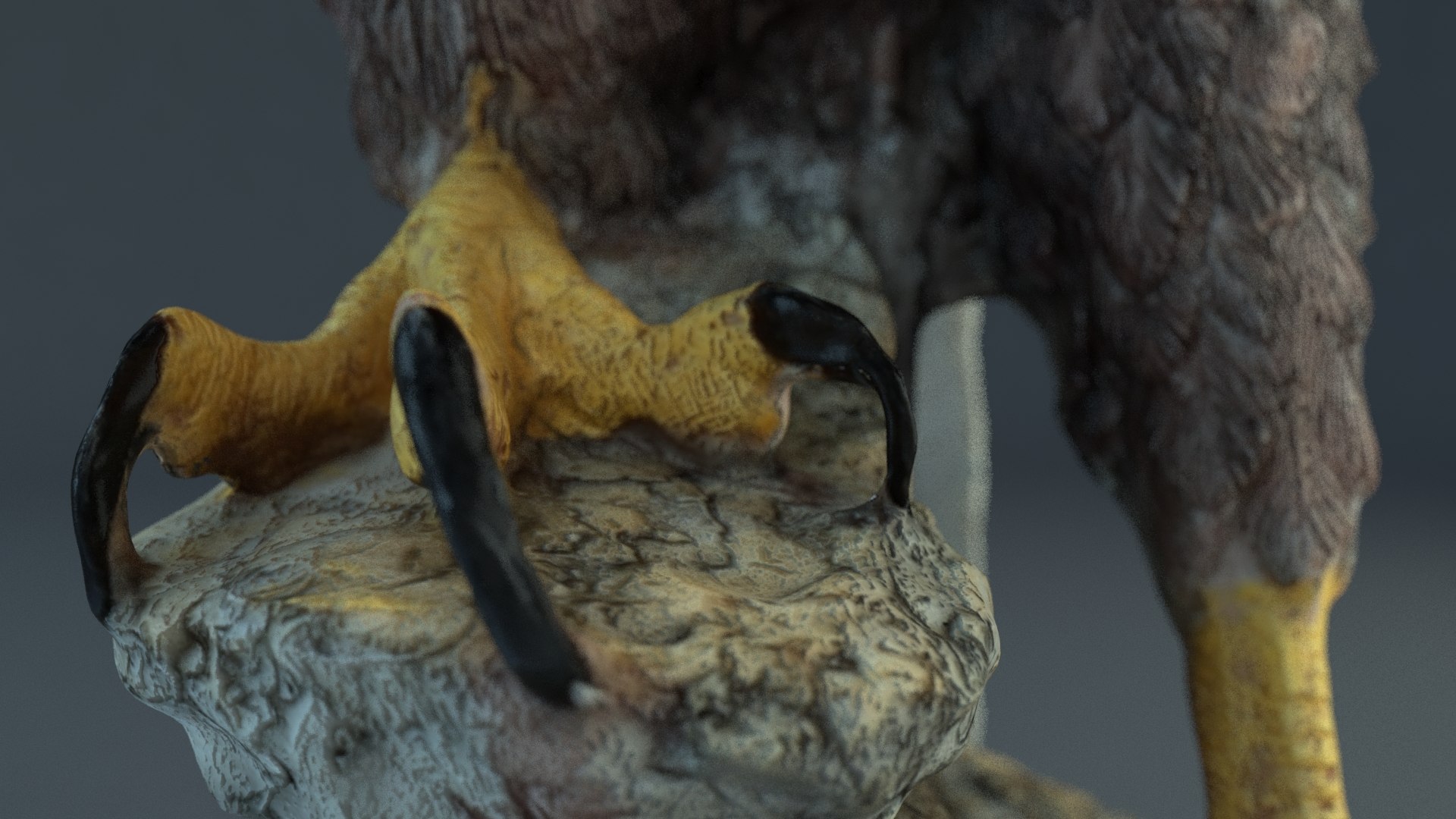 3D Model Eagle - TurboSquid 2089794