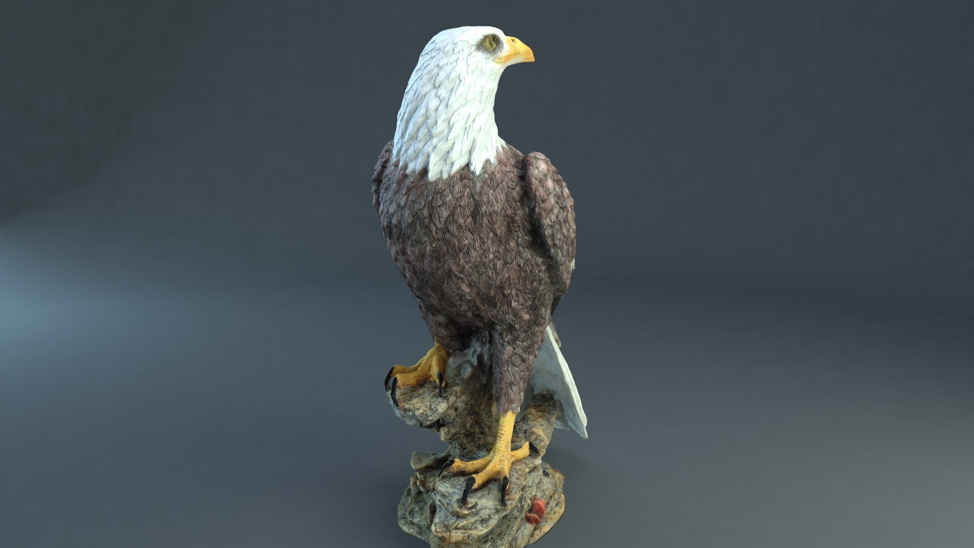 3D Model Eagle - TurboSquid 2089794