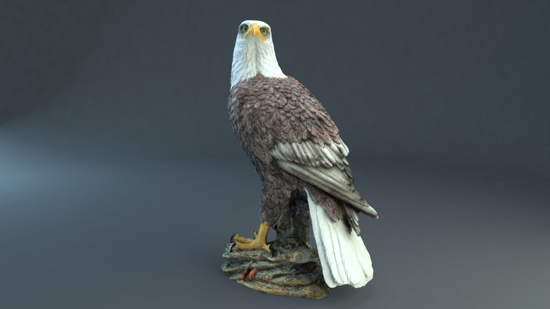 3D Model Eagle - TurboSquid 2089794