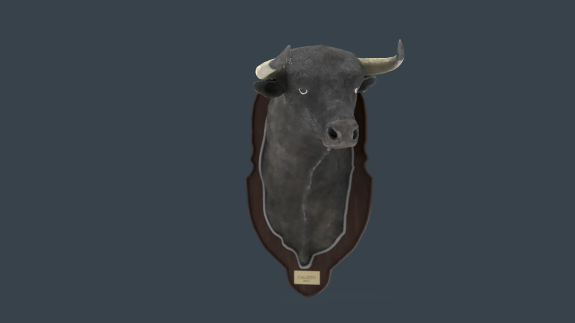Spanish Bull Head Trophy 3D Model - TurboSquid 1711974