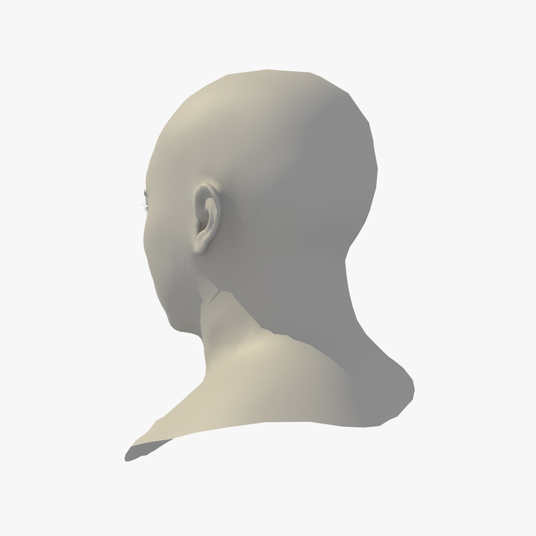 3D Model Realistic Head Base Mesh - TurboSquid 1438859