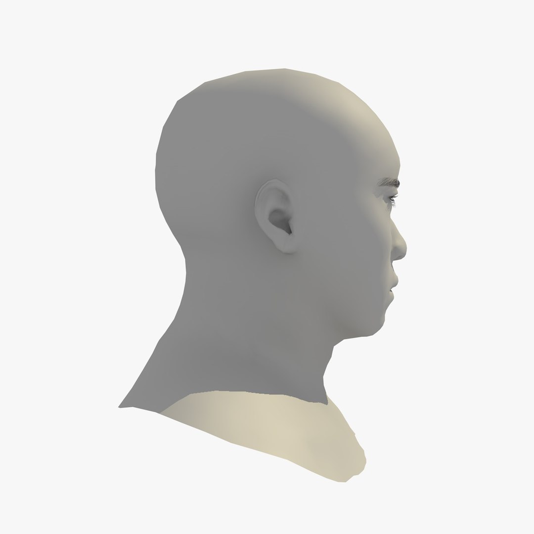 3D Model Realistic Head Base Mesh - TurboSquid 1438859