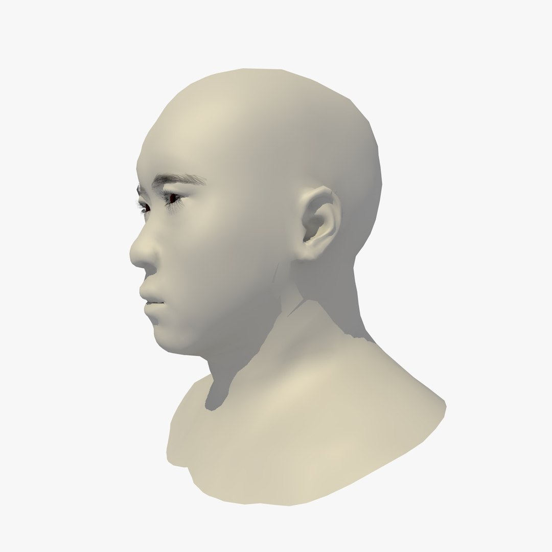 3D Model Realistic Head Base Mesh - TurboSquid 1438859