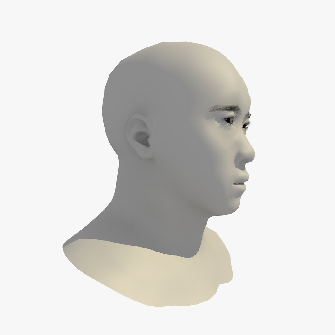 3D Model Realistic Head Base Mesh - TurboSquid 1438859