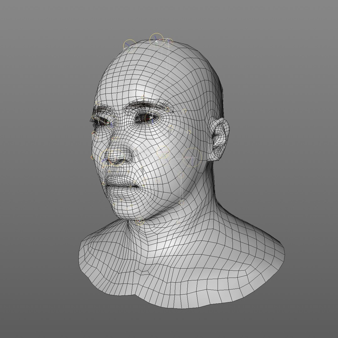 3D Model Realistic Head Base Mesh - TurboSquid 1438859