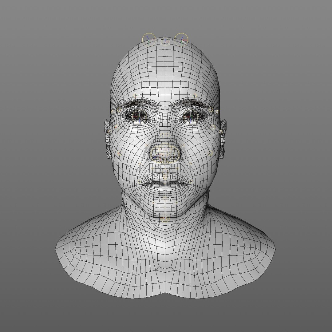 3D Model Realistic Head Base Mesh - TurboSquid 1438859