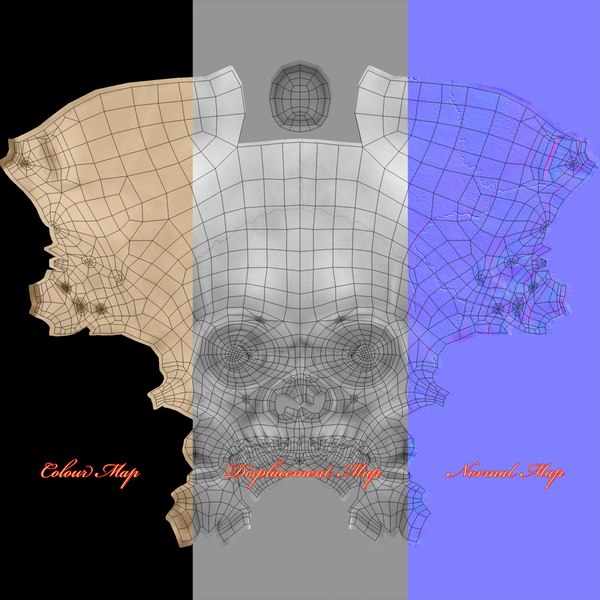 3d human skull model