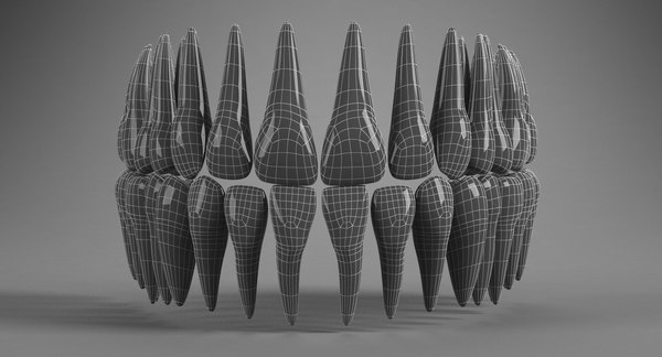 3d human skull model