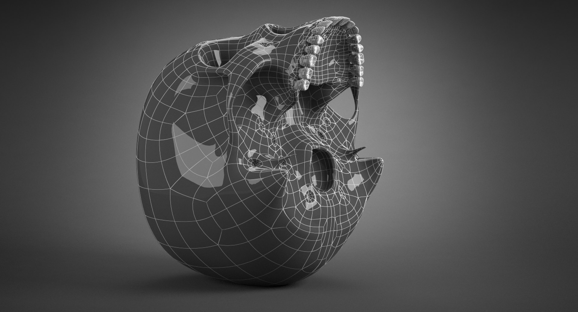 3d human skull model