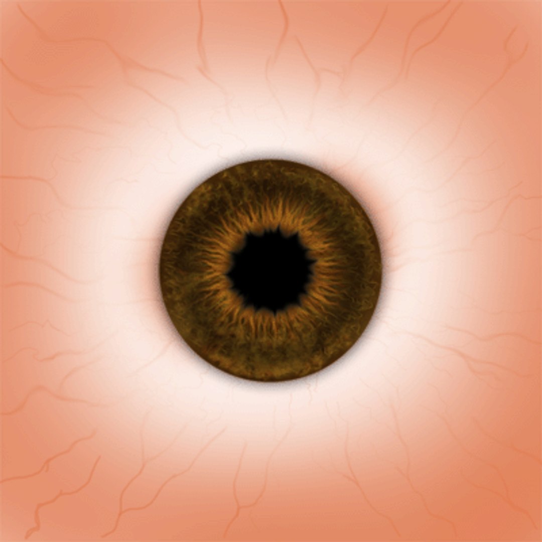 Eyeball Eye Ball 3ds Free