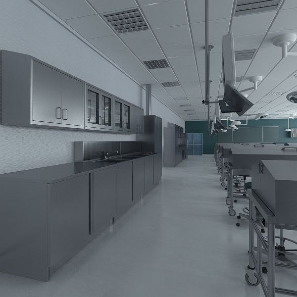 3d anatomy laboratory dissection tables model