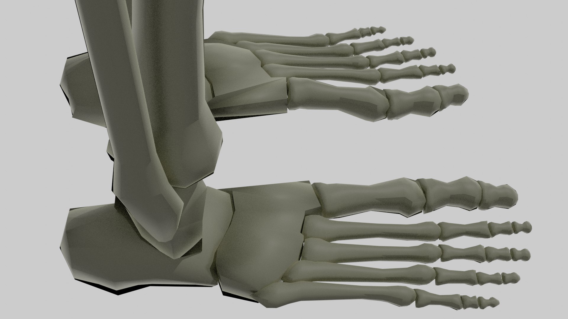 Skeleton 3D Model - TurboSquid 2135708