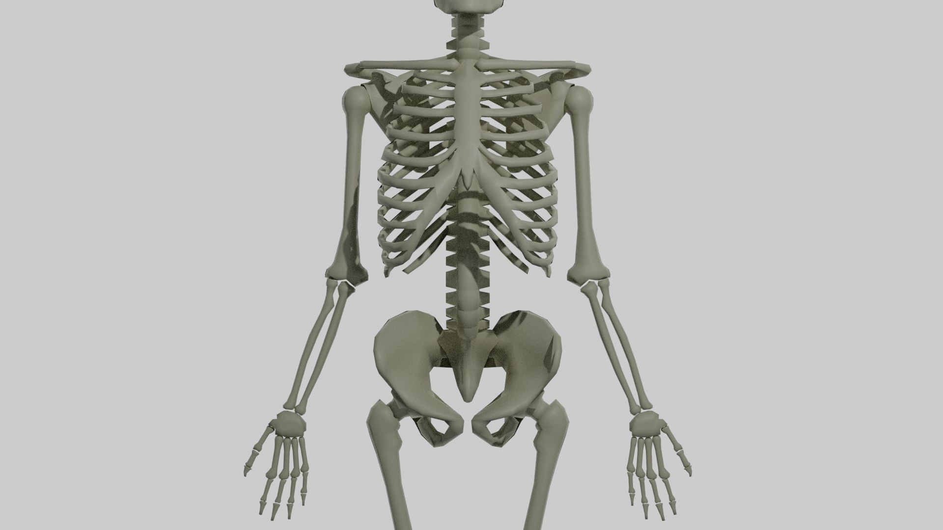 Skeleton 3D Model - TurboSquid 2135708