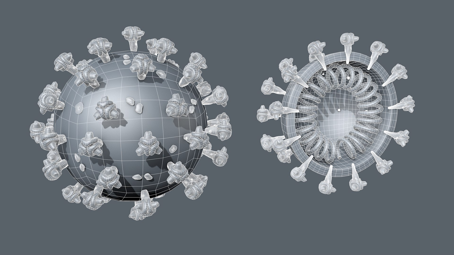 3D Model Virus - TurboSquid 1504137