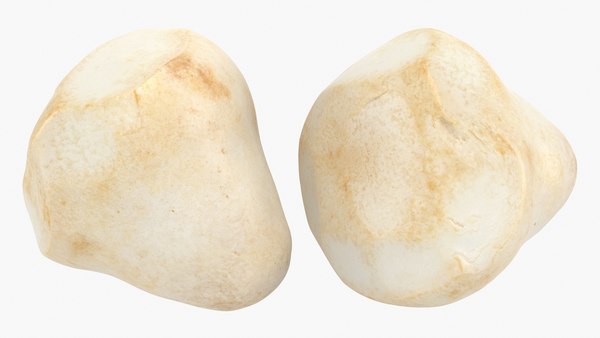 modelo 3d Hongo de paja entero - TurboSquid 1916774