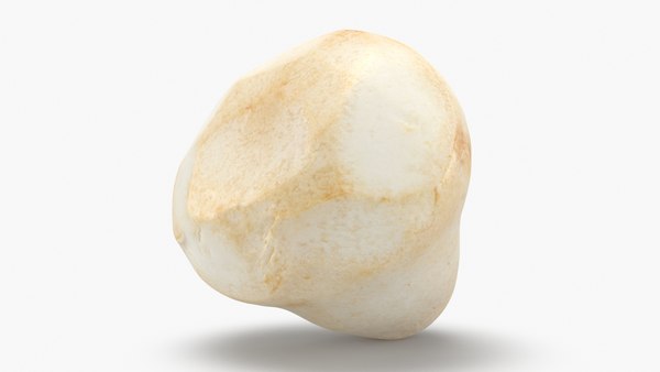 modelo 3d Hongo de paja entero - TurboSquid 1916774