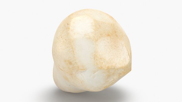 modelo 3d Hongo de paja entero - TurboSquid 1916774