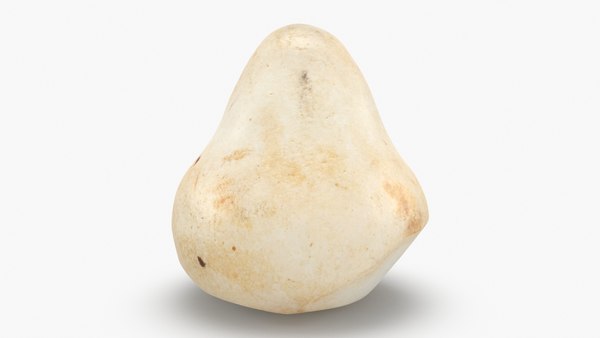 modelo 3d Hongo de paja entero - TurboSquid 1916774