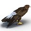 Golden Eagle Pose 5 3d Model