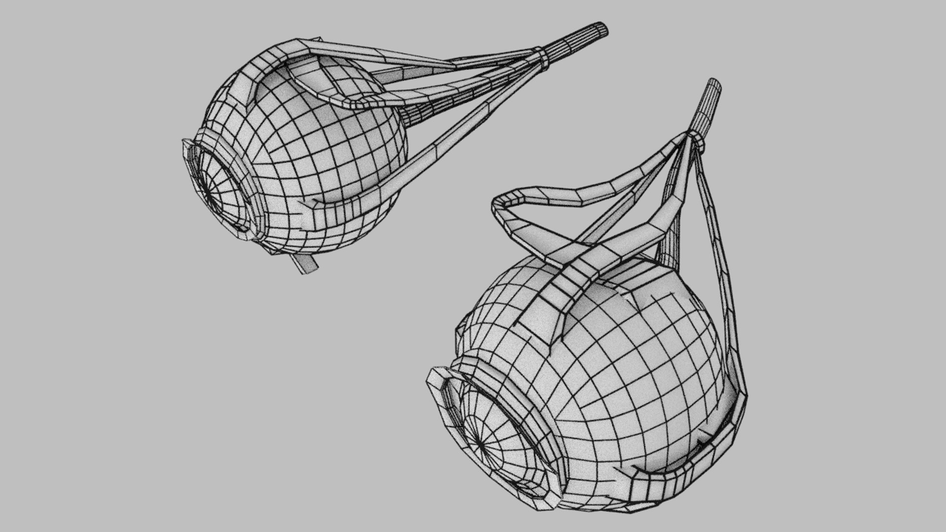 Eye anatomy cut open detail labelled 3D - TurboSquid 1773930