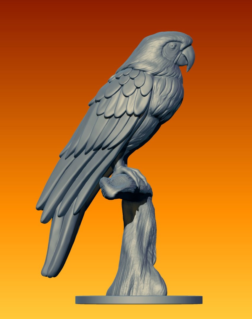 3D Model Ara Parrot - TurboSquid 2383956