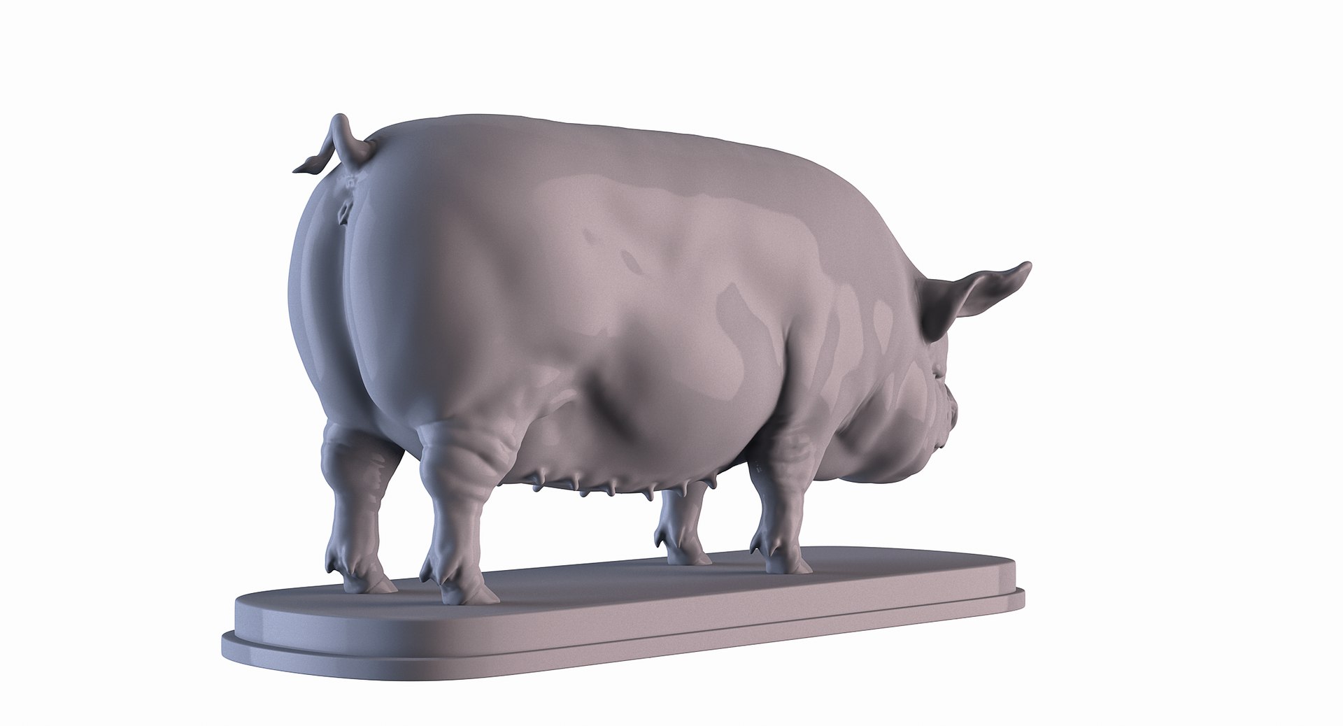3D Model Middle White Pig - TurboSquid 1770926