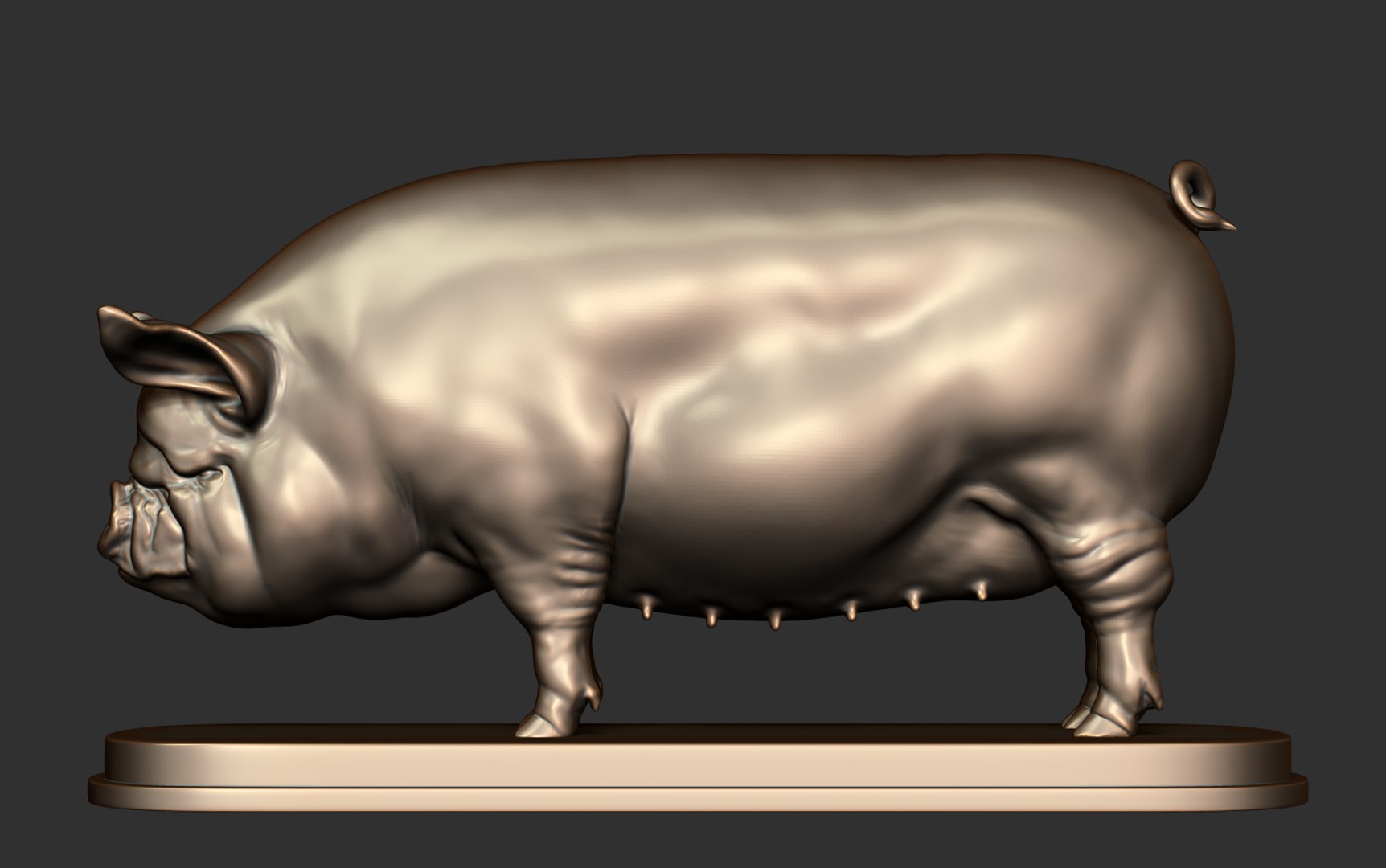 3D Model Middle White Pig - TurboSquid 1770926