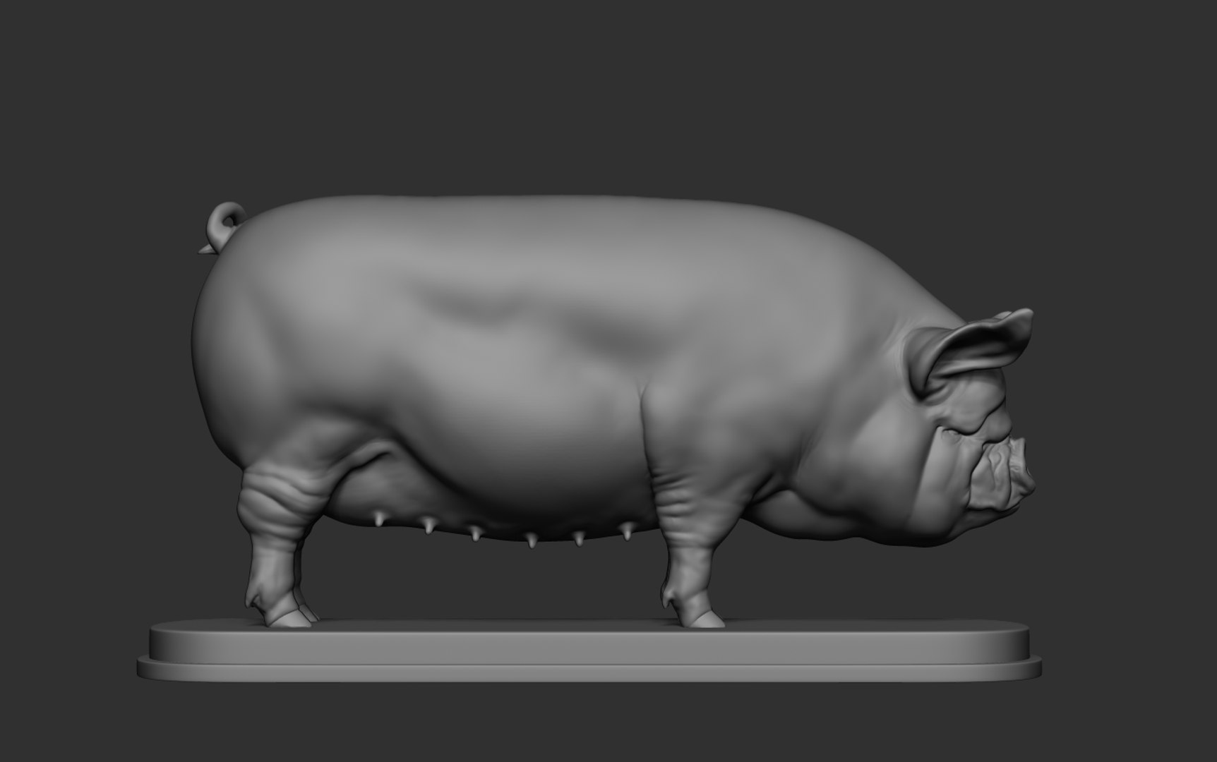 3D Model Middle White Pig - TurboSquid 1770926