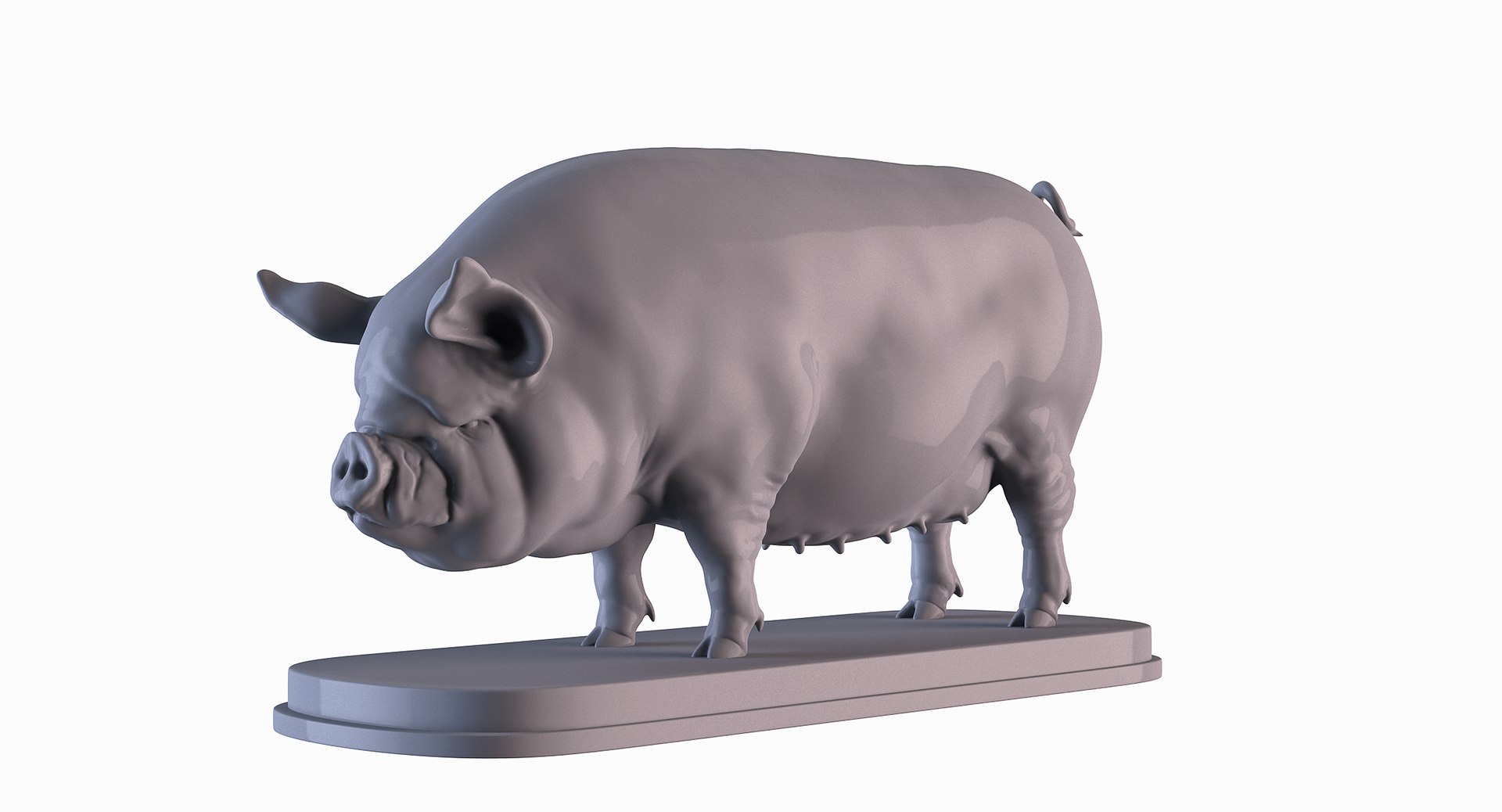 3D Model Middle White Pig - TurboSquid 1770926