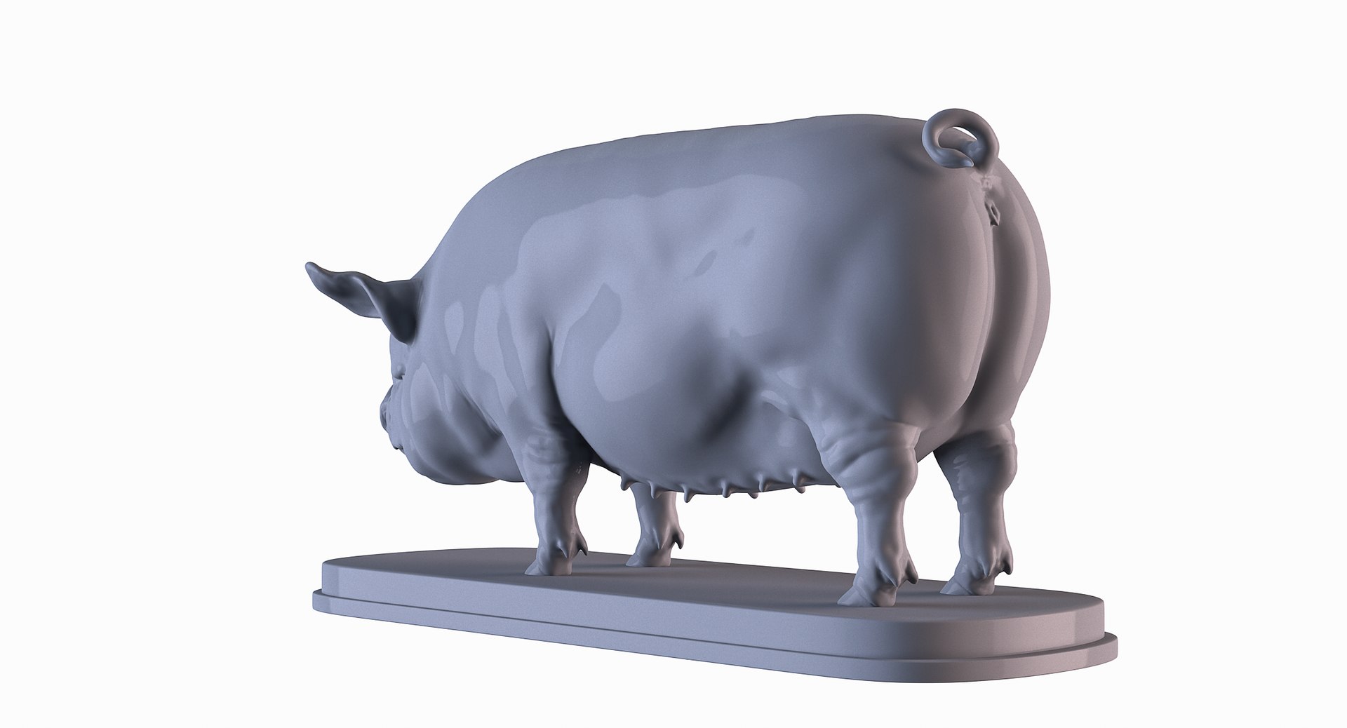 3D Model Middle White Pig - TurboSquid 1770926