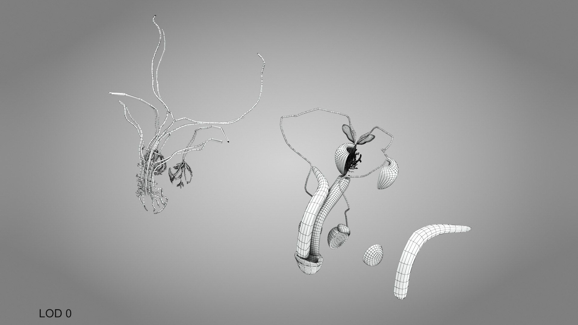 Male Reproductive System 3D - TurboSquid 1927658