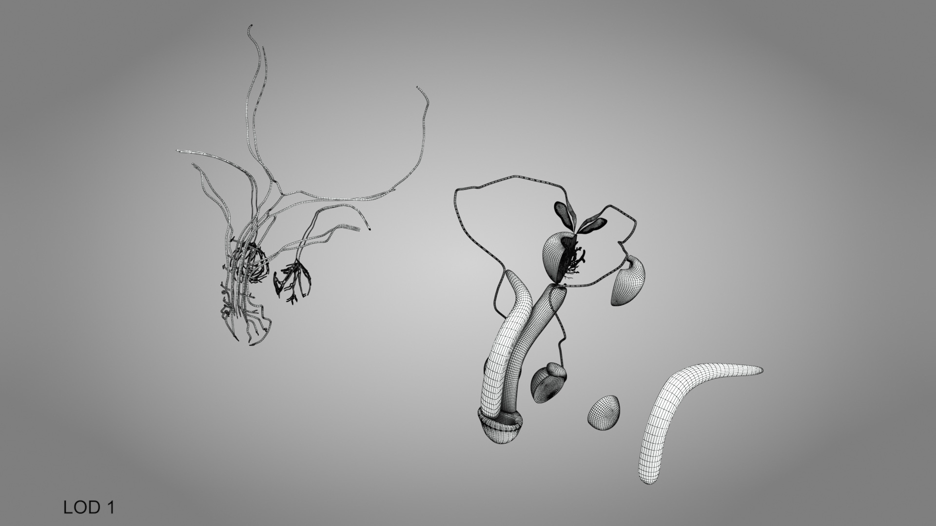 Male reproductive system 3D - TurboSquid 1927658