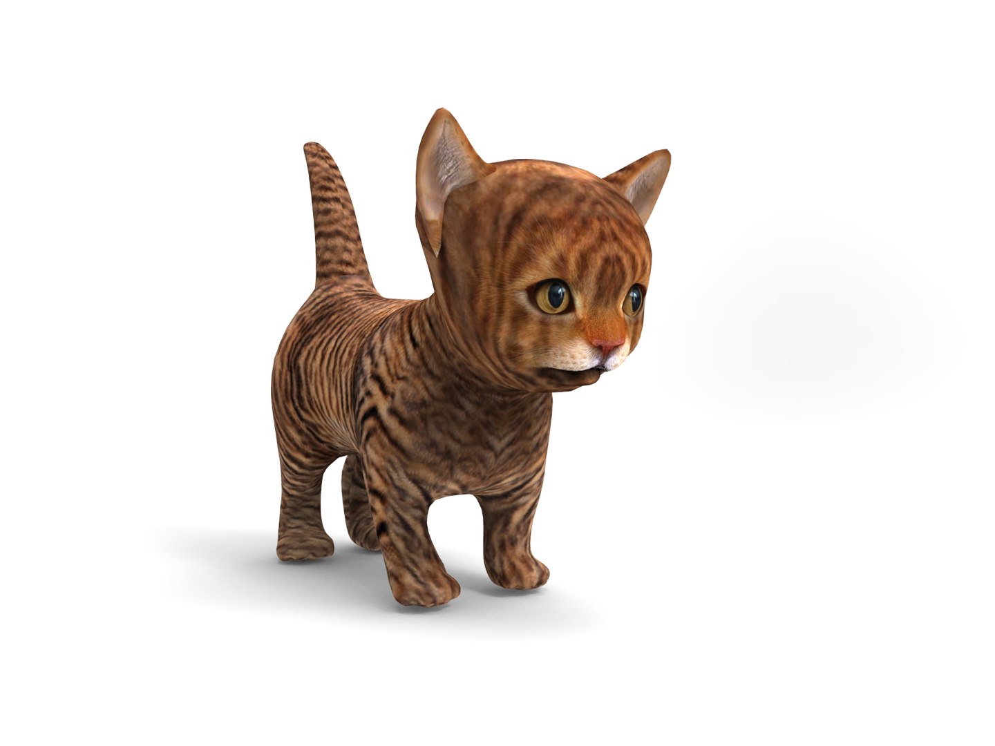 Cute Cat Animation 3D Model - TurboSquid 1219640