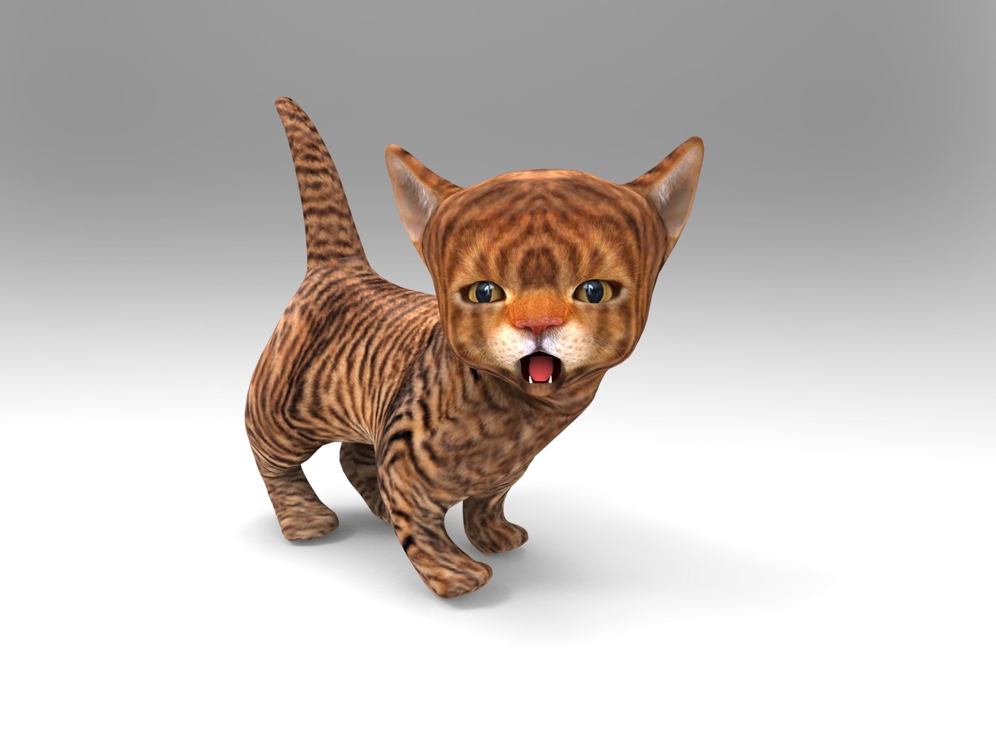 Cute Cat Animation 3D Model - TurboSquid 1219640