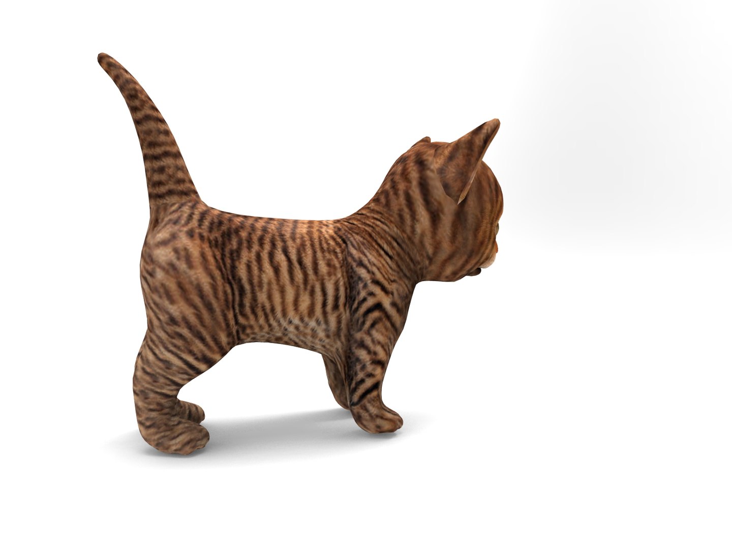 Cute Cat Animation 3D Model - TurboSquid 1219640