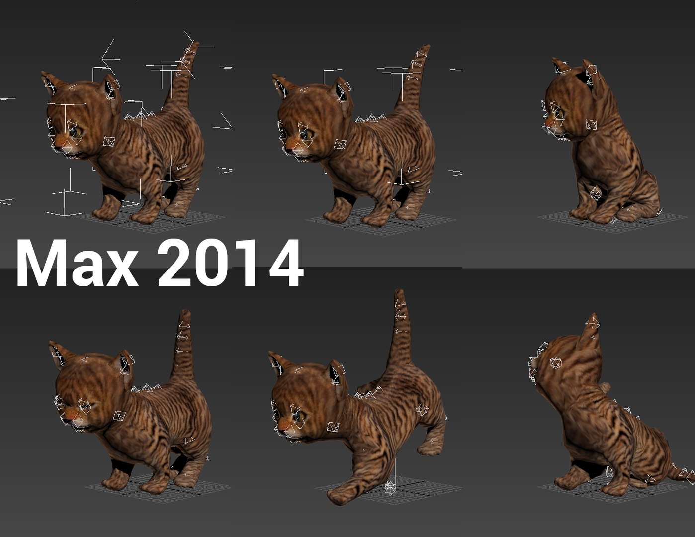 Cute Cat Animation 3D Model - TurboSquid 1219640