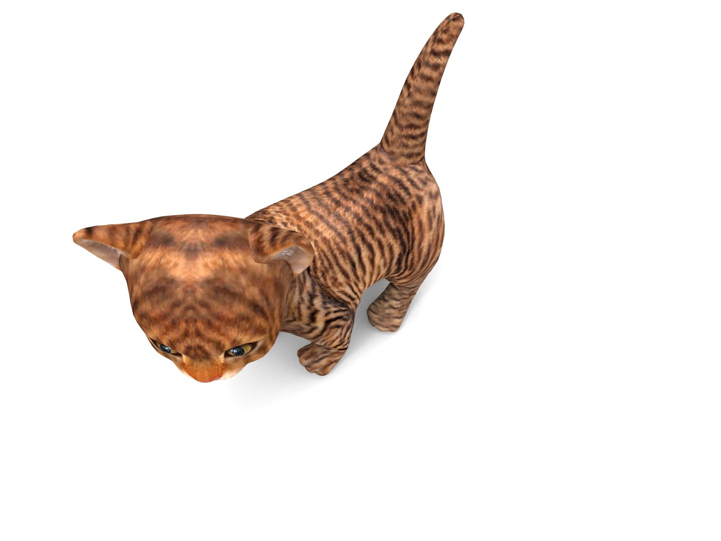 Cute Cat Animation 3D Model - TurboSquid 1219640